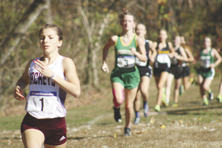 W. VA. STATE CROSS COUNTRY: Sauro finishes 1st as Yellowjacket girls ...